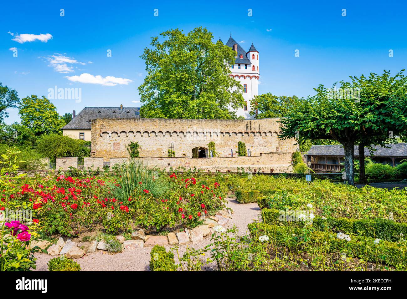 Views of Eltville in the Rheingau, a rose and sustainability town with ...