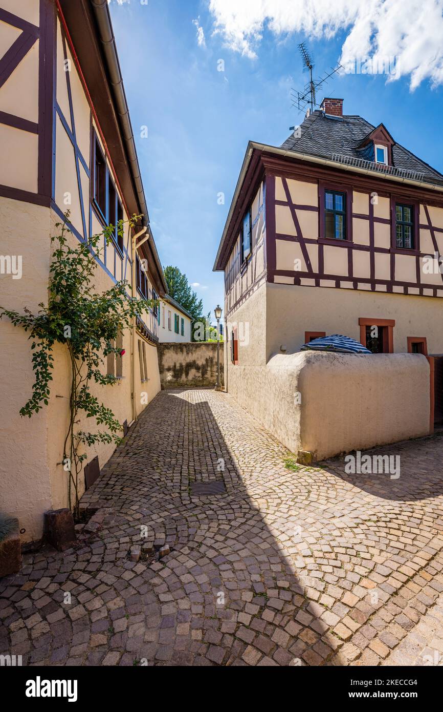 Views of Eltville in the Rheingau, a rose and sustainability town with ...