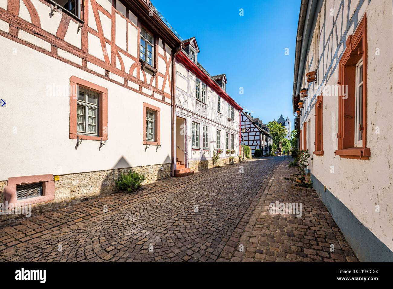 Views of Eltville in the Rheingau, a rose and sustainability town with ...