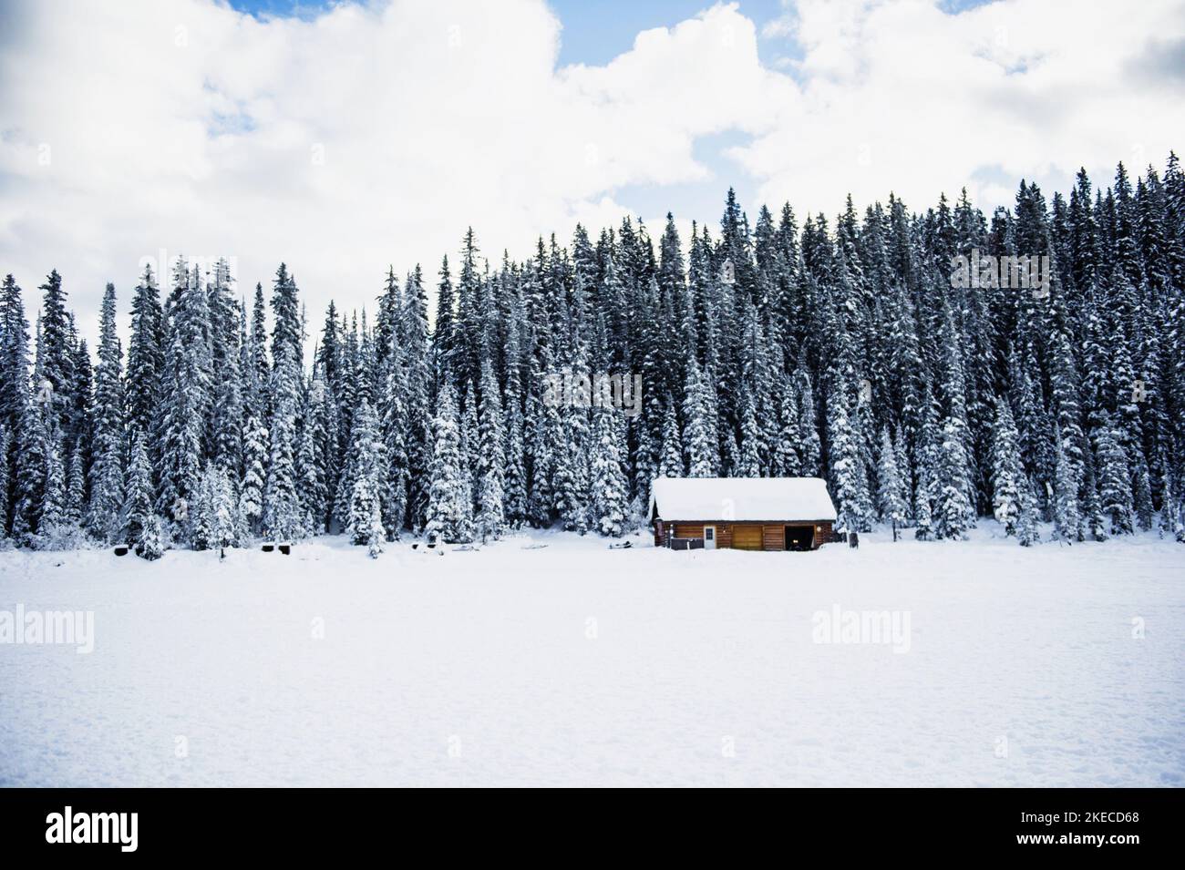 Mesmerizing view to wooden house in the yard next to the winter forest ...