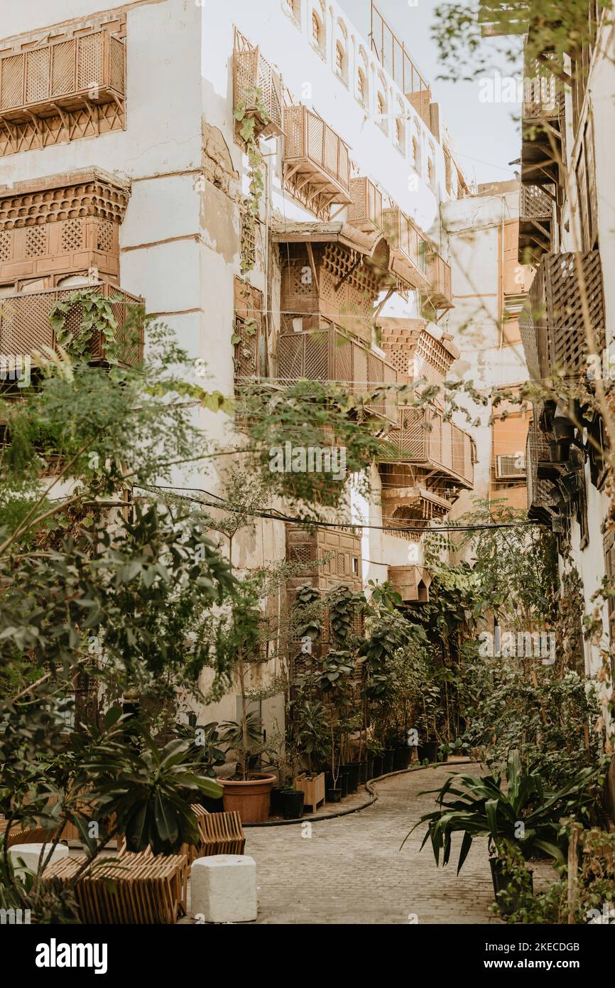 Saudi Arabia, Mecca province, Jeddah/Jeddah, residential house, plants ...