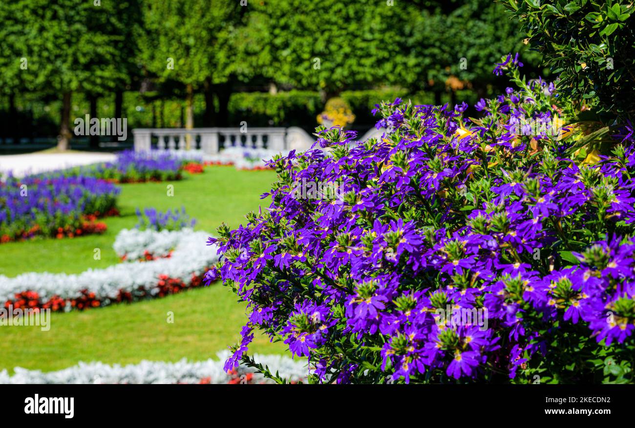 Flower beds to see in Mirabell Garden in Salzburg, Austria, Europe ...