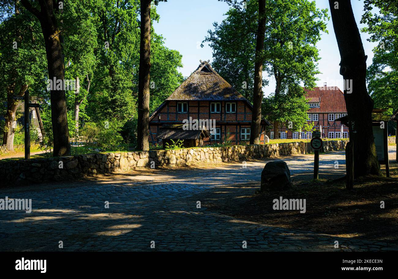 historic houses in Wilsede near Bispingen, Lüneburger Heide, Lower ...