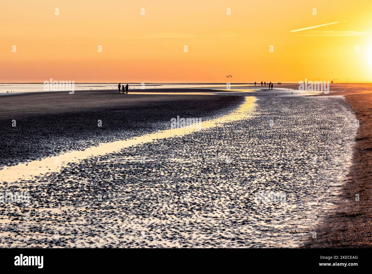 Golden tide hi-res stock photography and images - Alamy