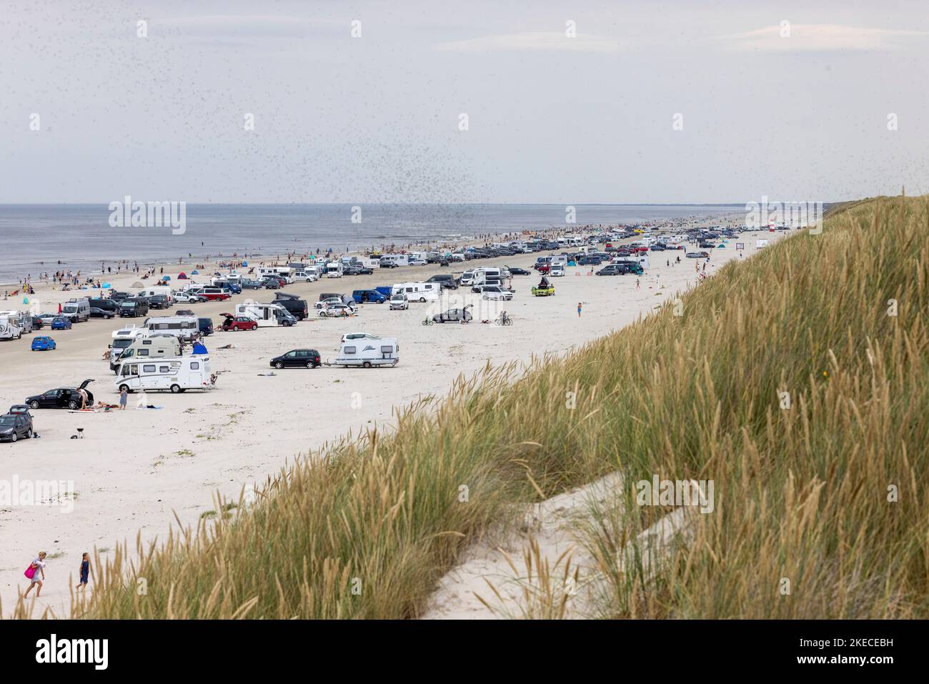 The Vejers car beach in Denmark in summer Stock Photo - Alamy