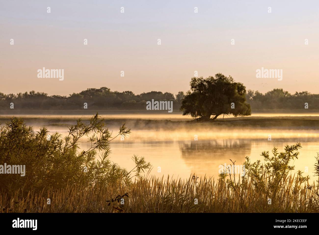 Golden light landscapes hi-res stock photography and images - Alamy