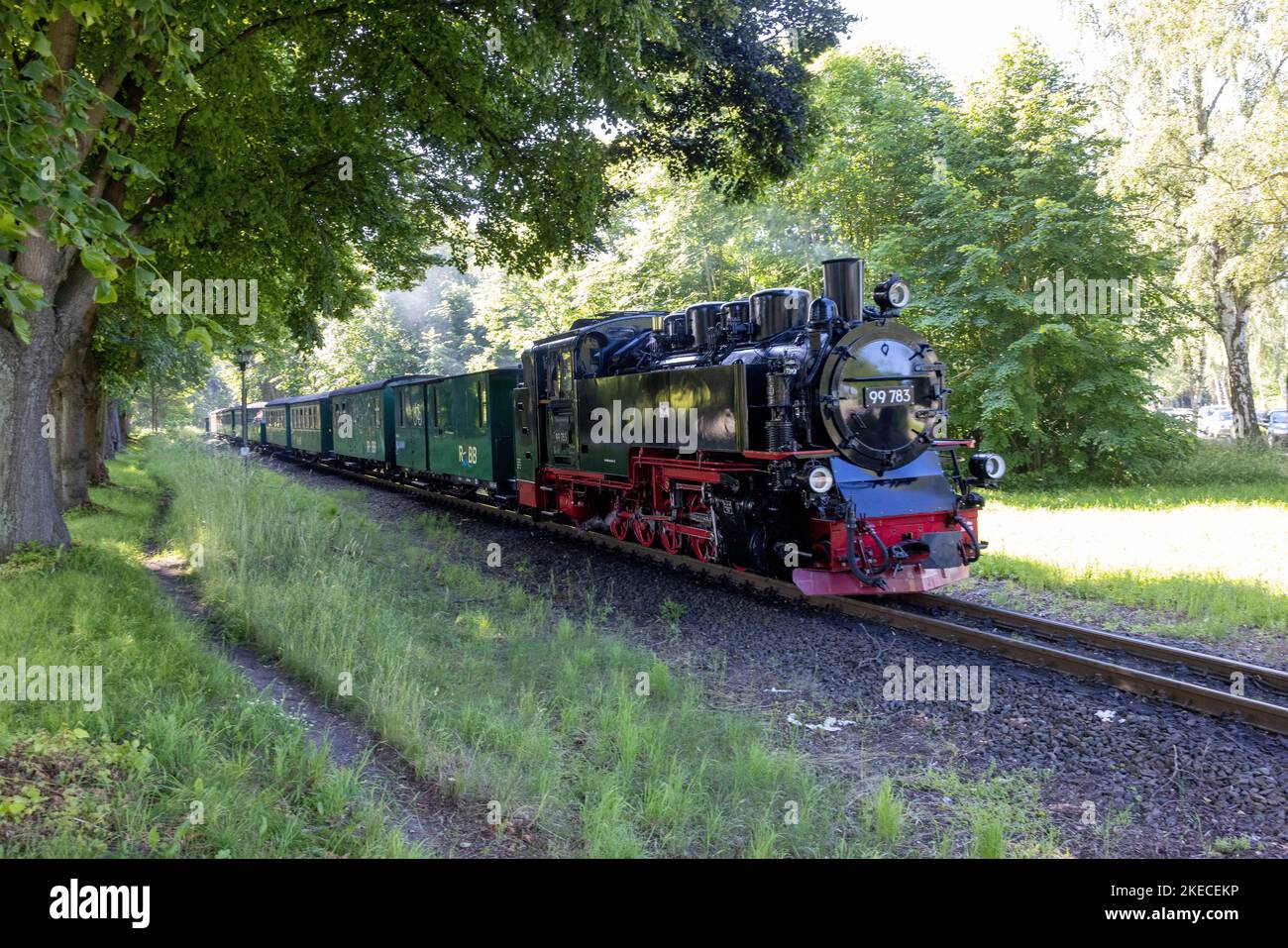 The Roland train in motion near Binz on the island of Rügen Stock Photo ...