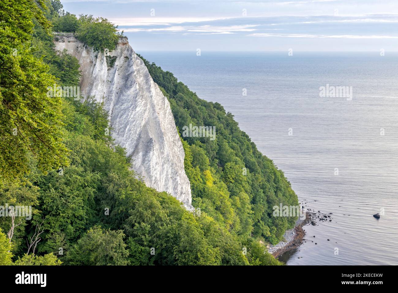 The famous chalk cliff at the Königsstuhl in Jasmund National Park on ...