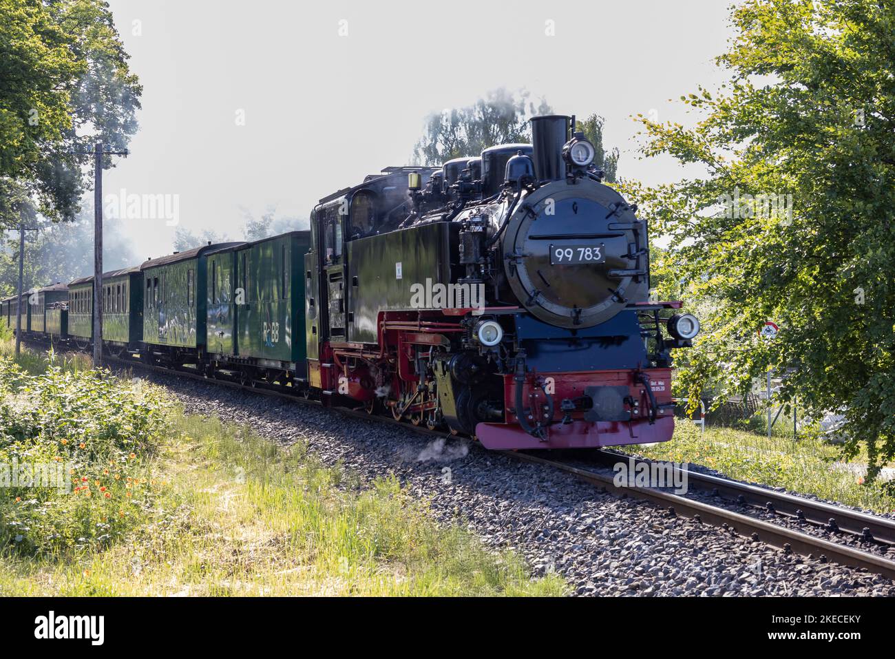 The Roland train in motion near Binz on the island of Rügen Stock Photo ...