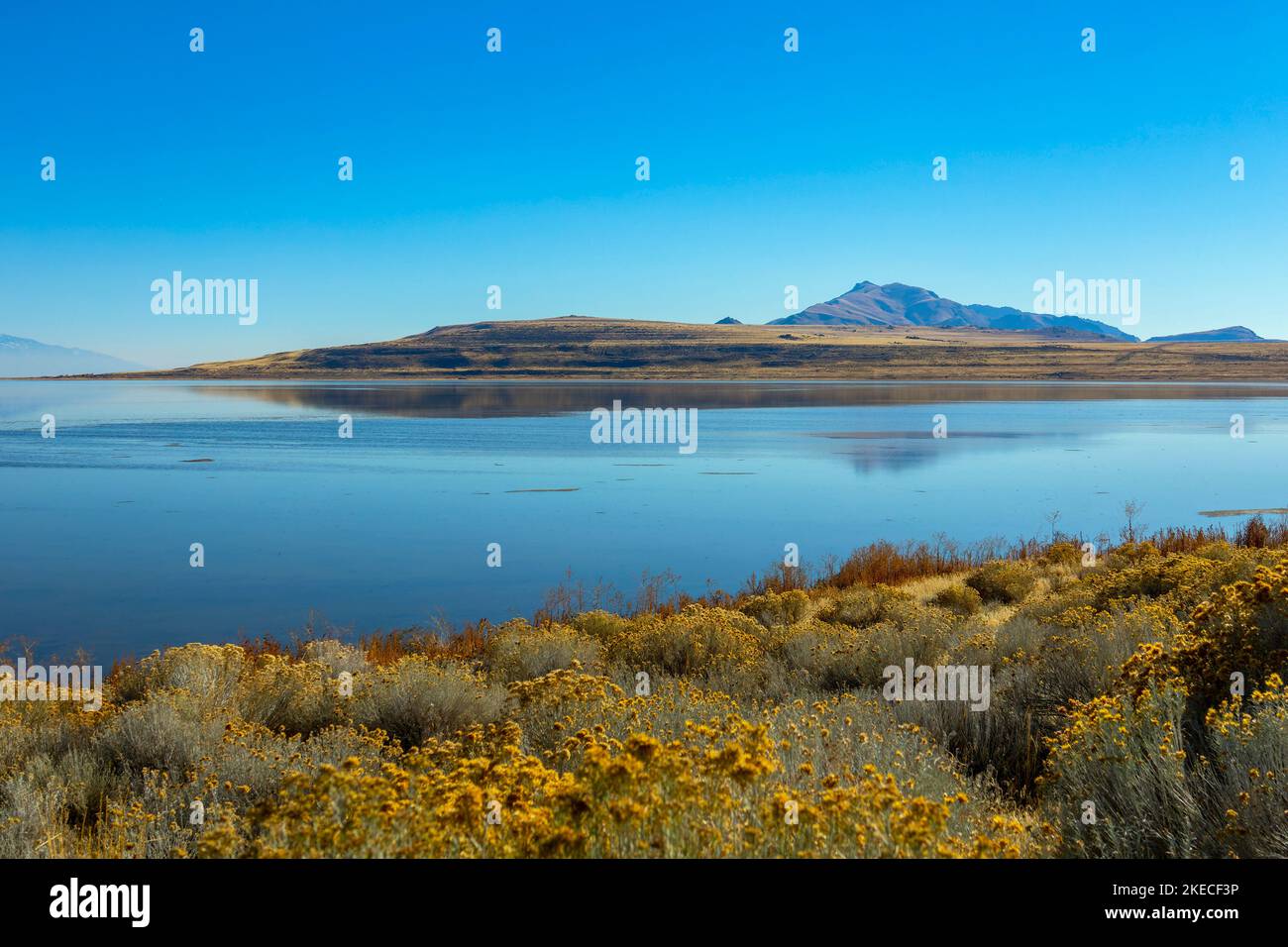 Landscape at the Great Salt Lake Stock Photo - Alamy