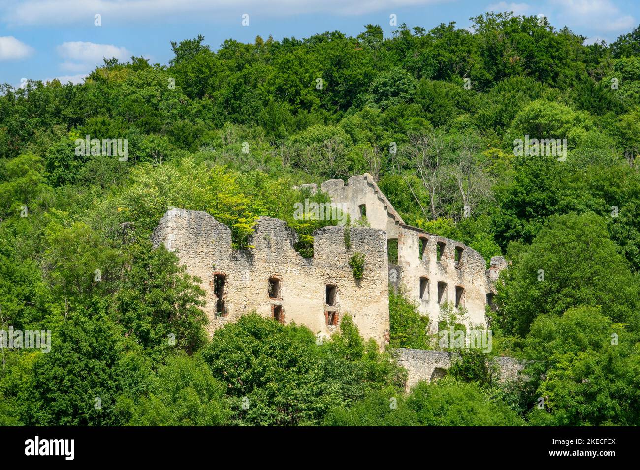 The entire complex was destroyed by fire on february 14 hi-res stock ...