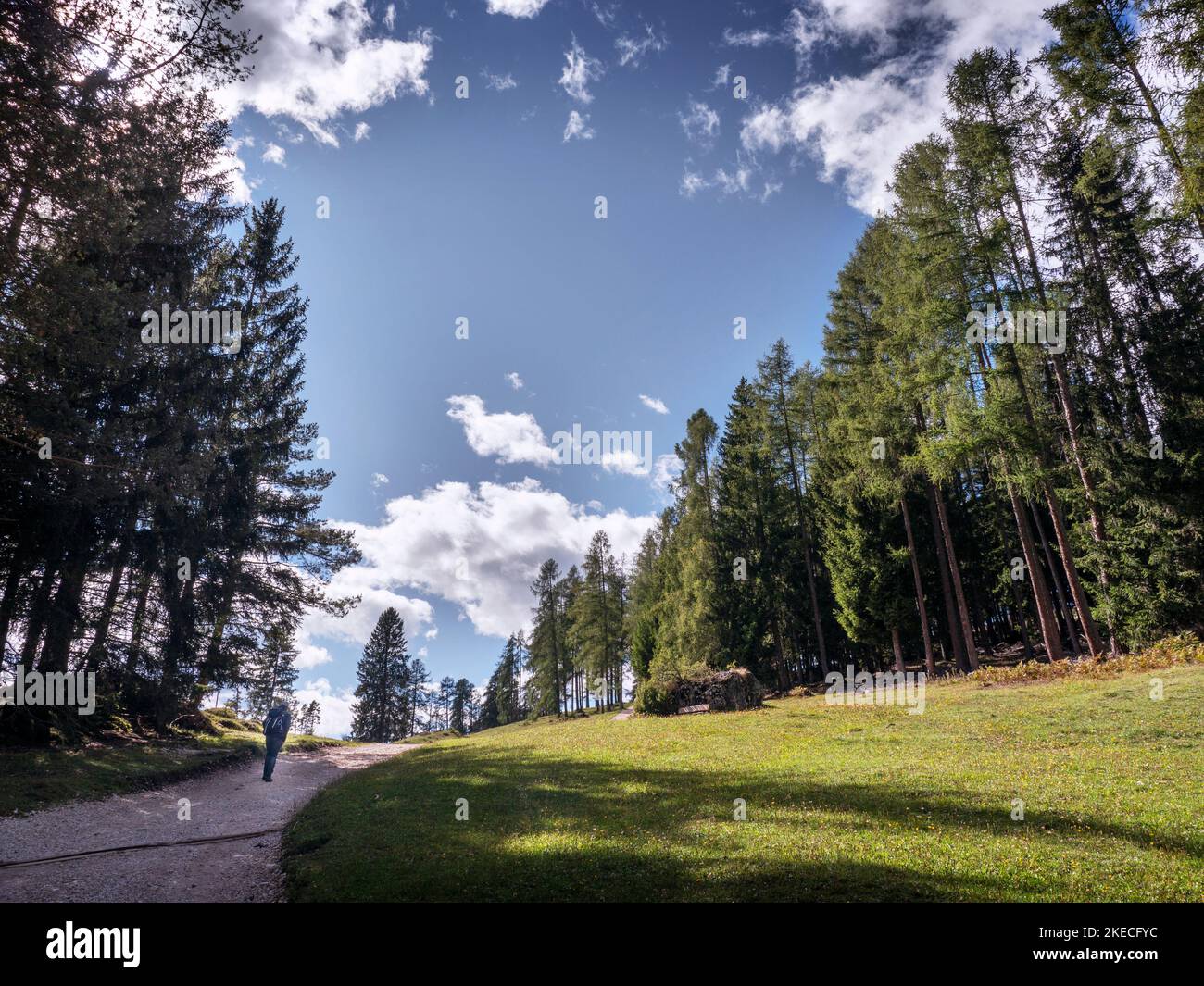 Hikers climbing the Wuhnleger, Sciliar-Catinaccio Nature Park Stock ...