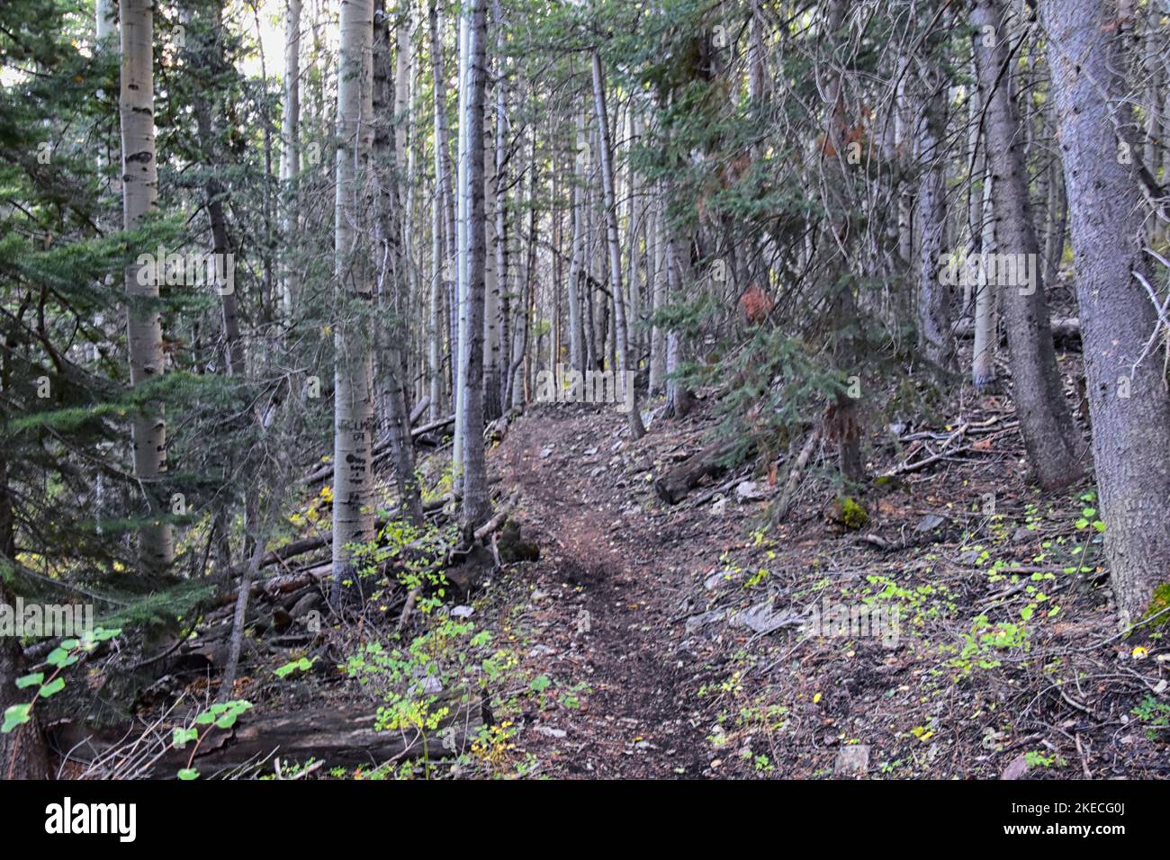 Deseret Peak hiking trail Stansbury Mountains, by Oquirrh Mountains ...