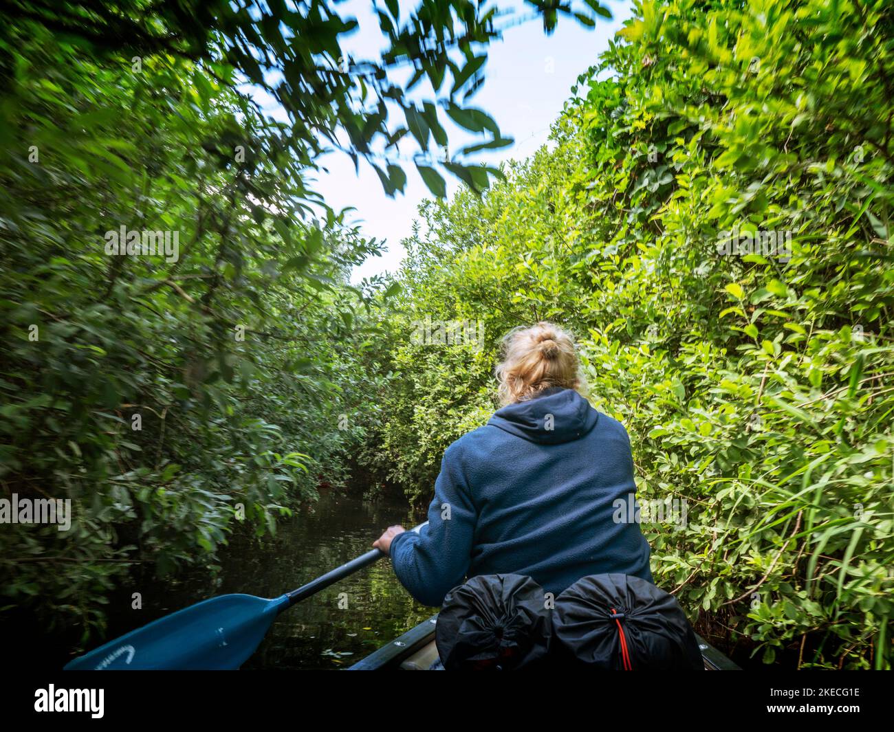 Water walker on a tributary of the Havel, the Schwanenhavel Stock Photo ...