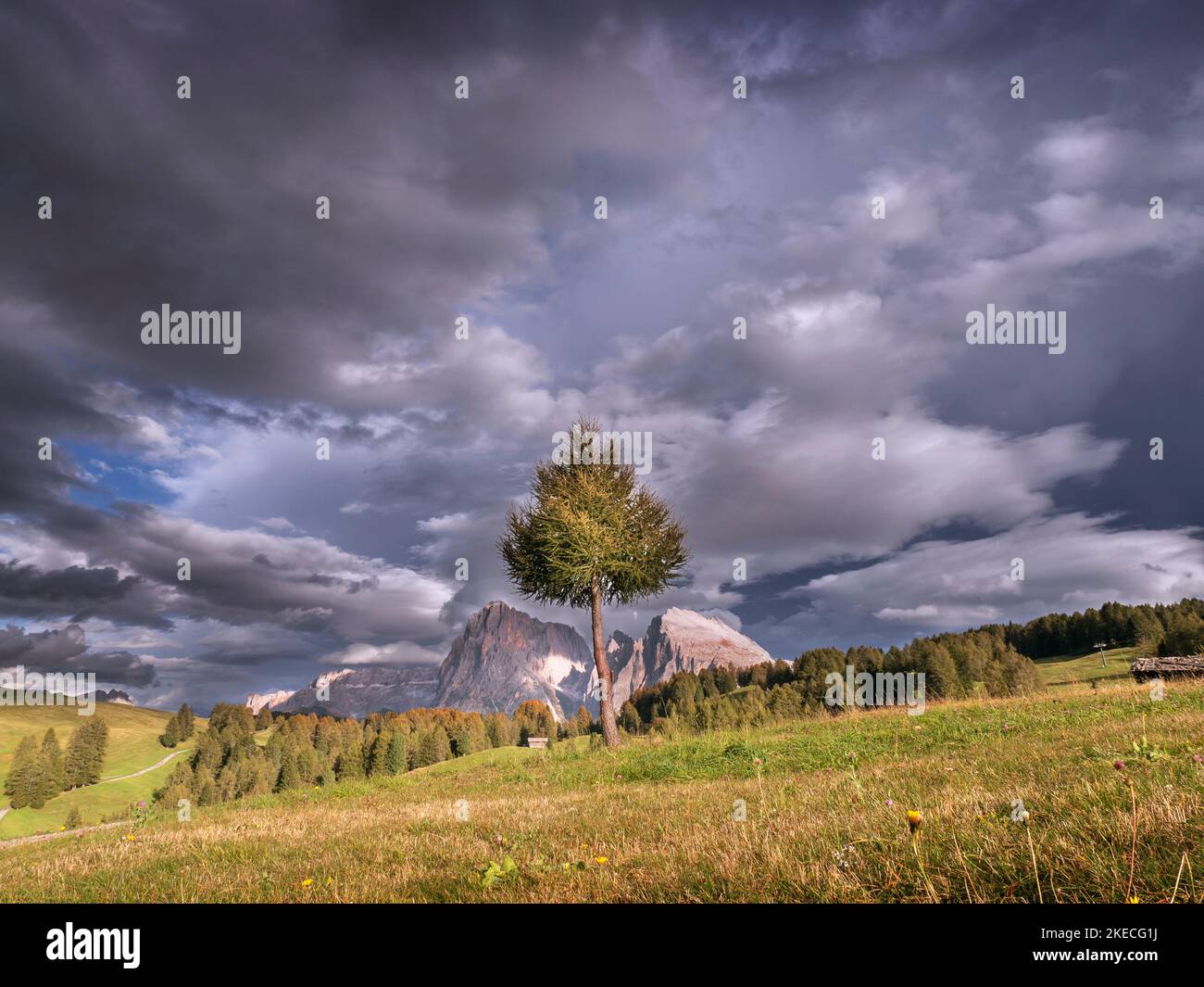 Alpe di Siusi with rising rain clouds and low sun with view towards the ...