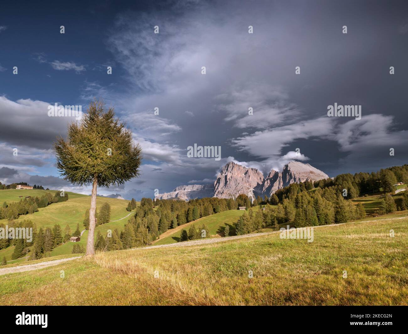 Alpe di Siusi with rising rain clouds and low sun with view towards the ...