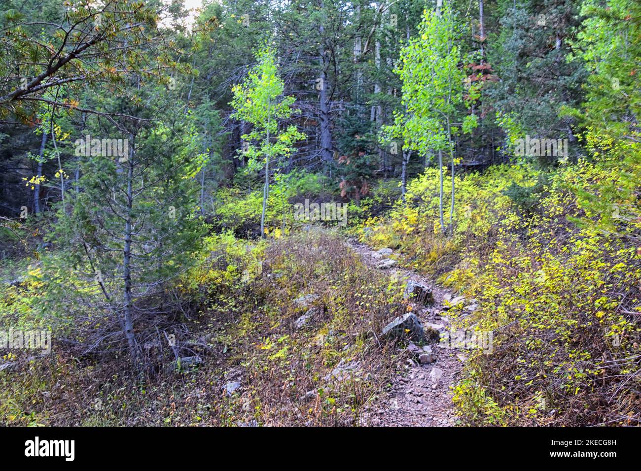 Deseret Peak hiking trail Stansbury Mountains, by Oquirrh Mountains ...