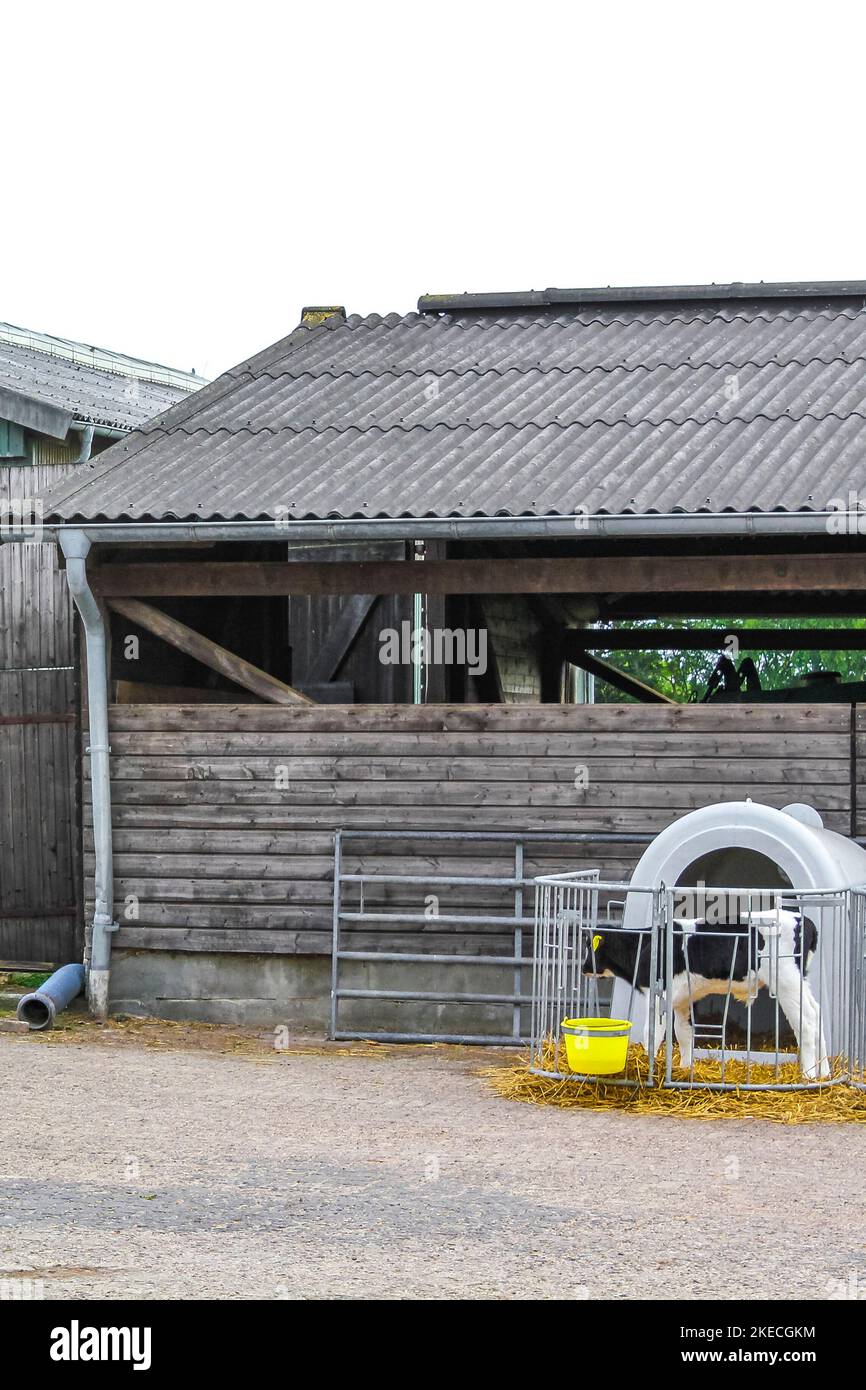 Hala Ranch Interior Pictures
