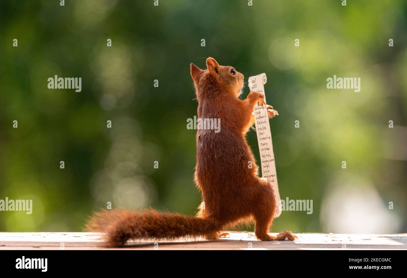 Wishing list hi-res stock photography and images - Alamy