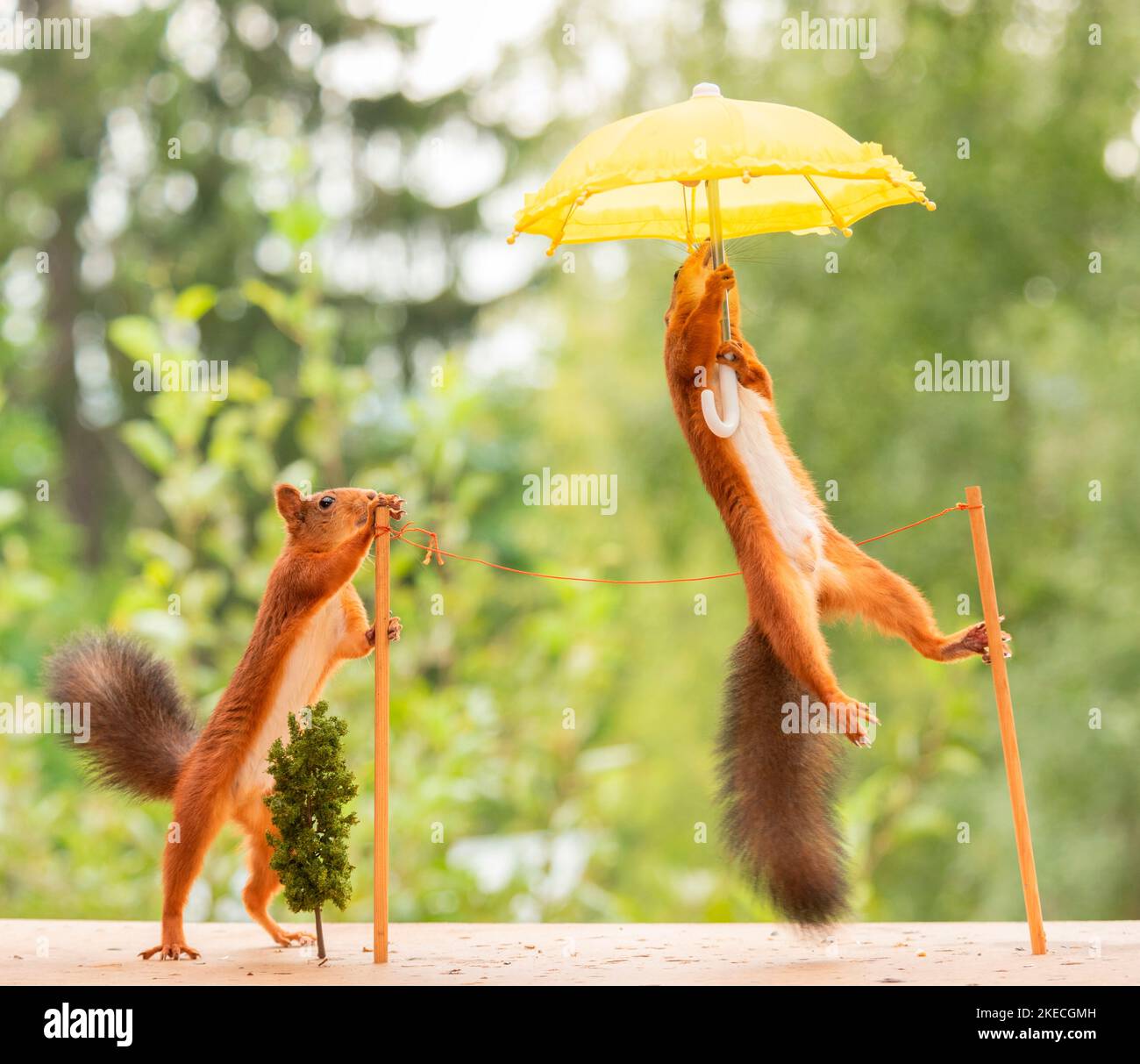 Rope stand hi-res stock photography and images - Alamy