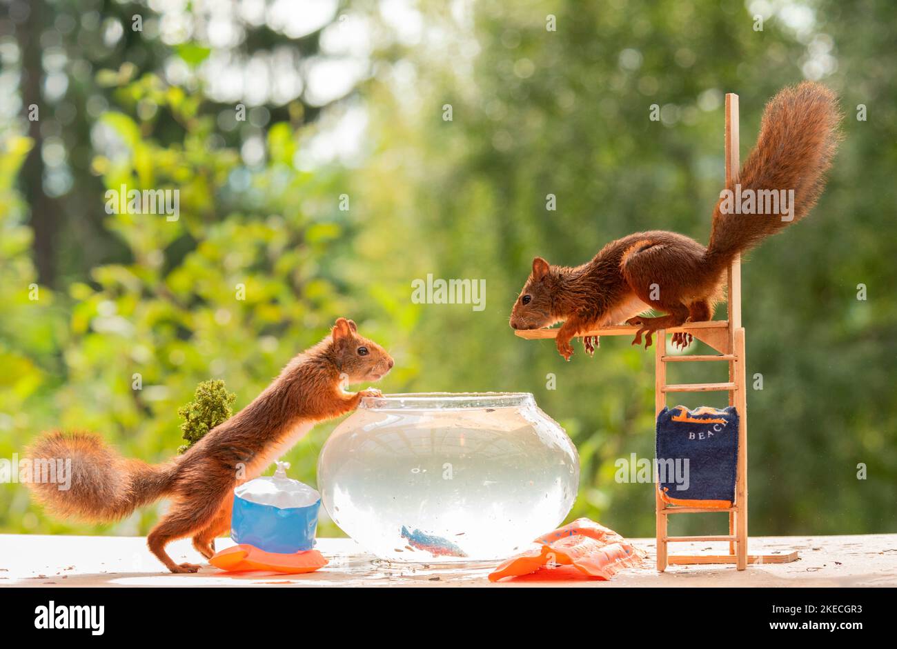 Diving water hi-res stock photography and images - Alamy