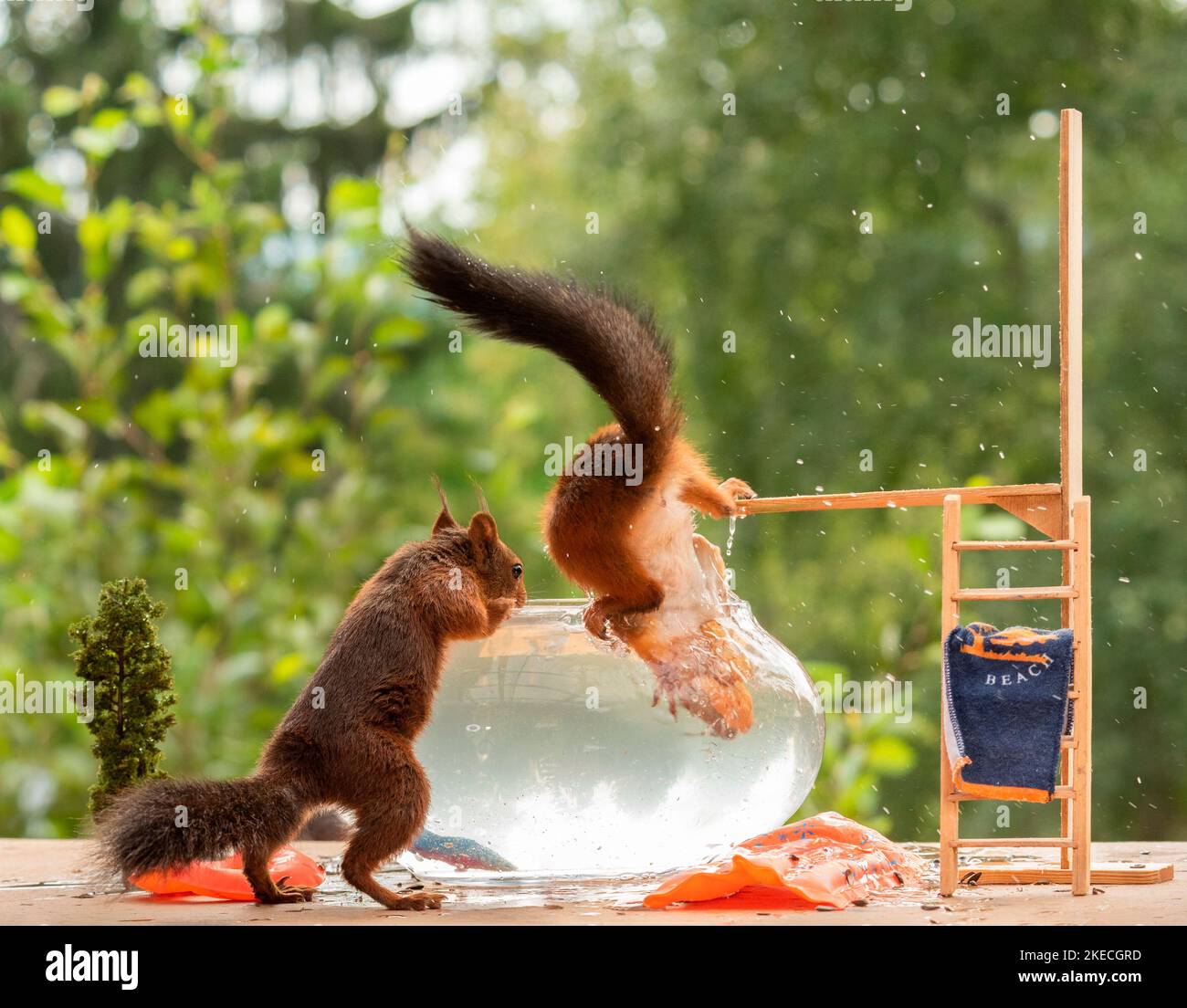 Diving water hi-res stock photography and images - Alamy
