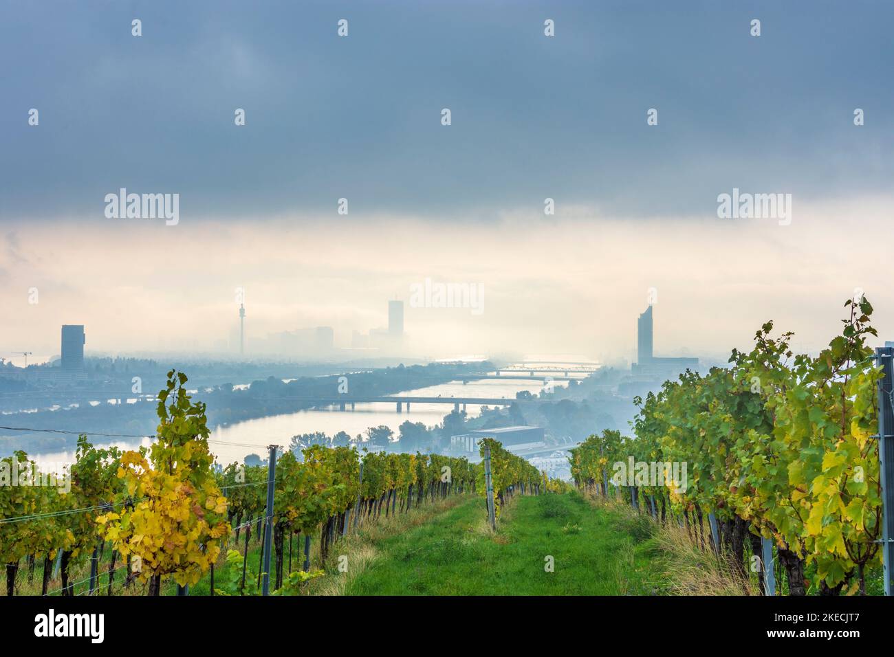 Vienna, morning fog over Vienna, vineyards, river Donau (Danube), tower ...