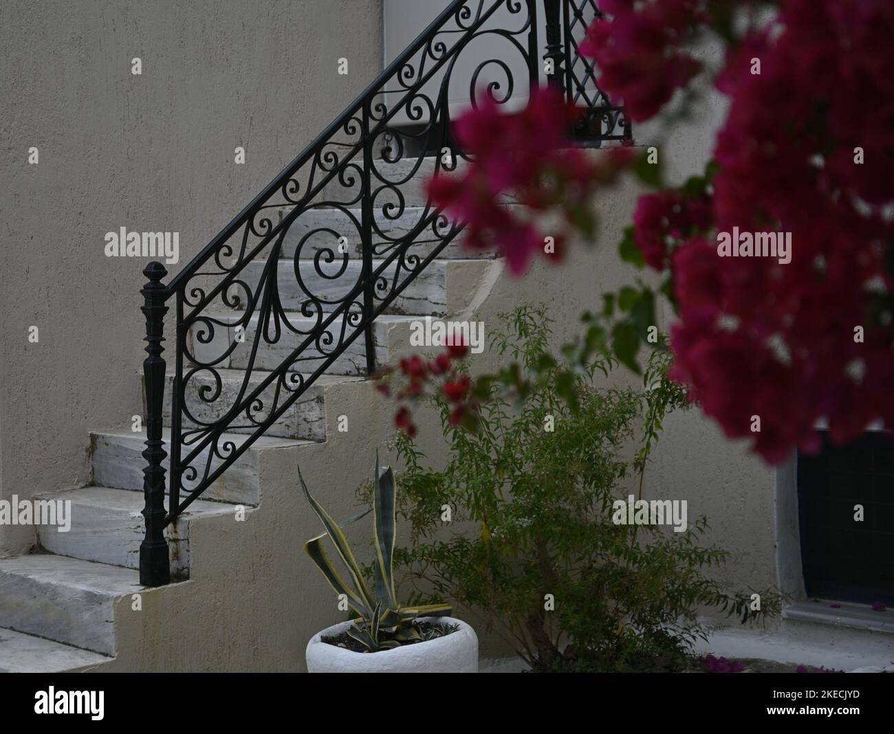 Landscape with a magenta bougainvillea climbing on a stairway in Kea ...