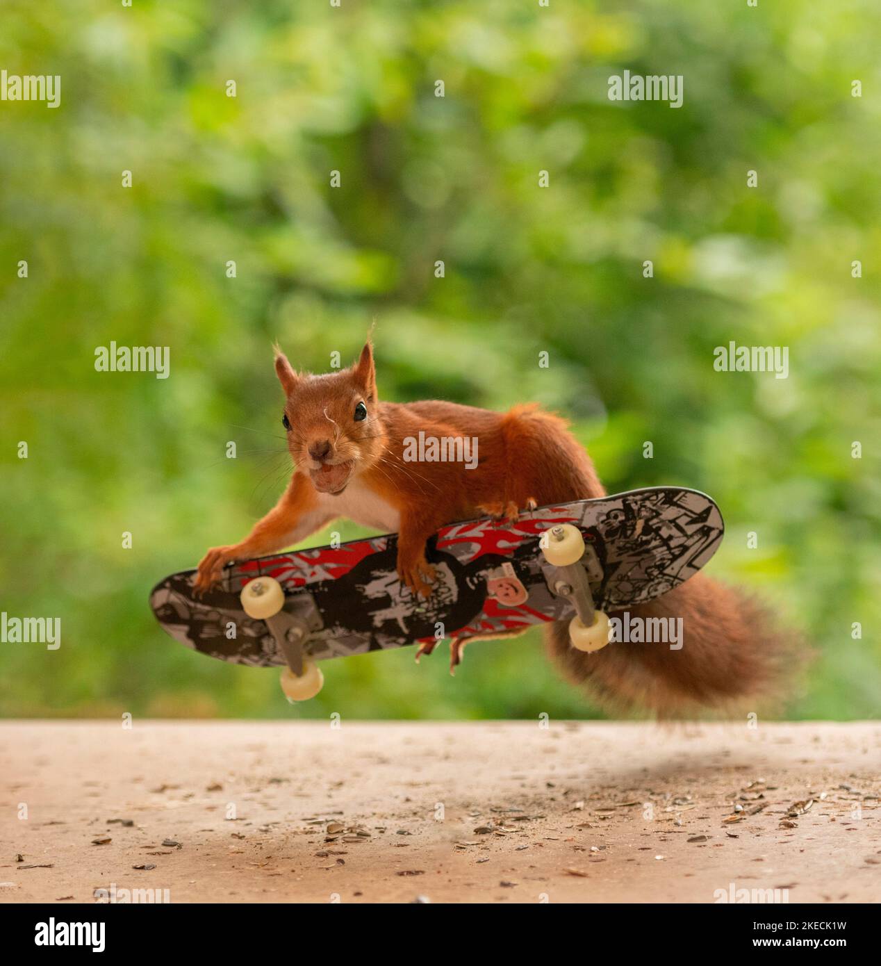 Miniature skateboard hi-res stock photography and images - Alamy
