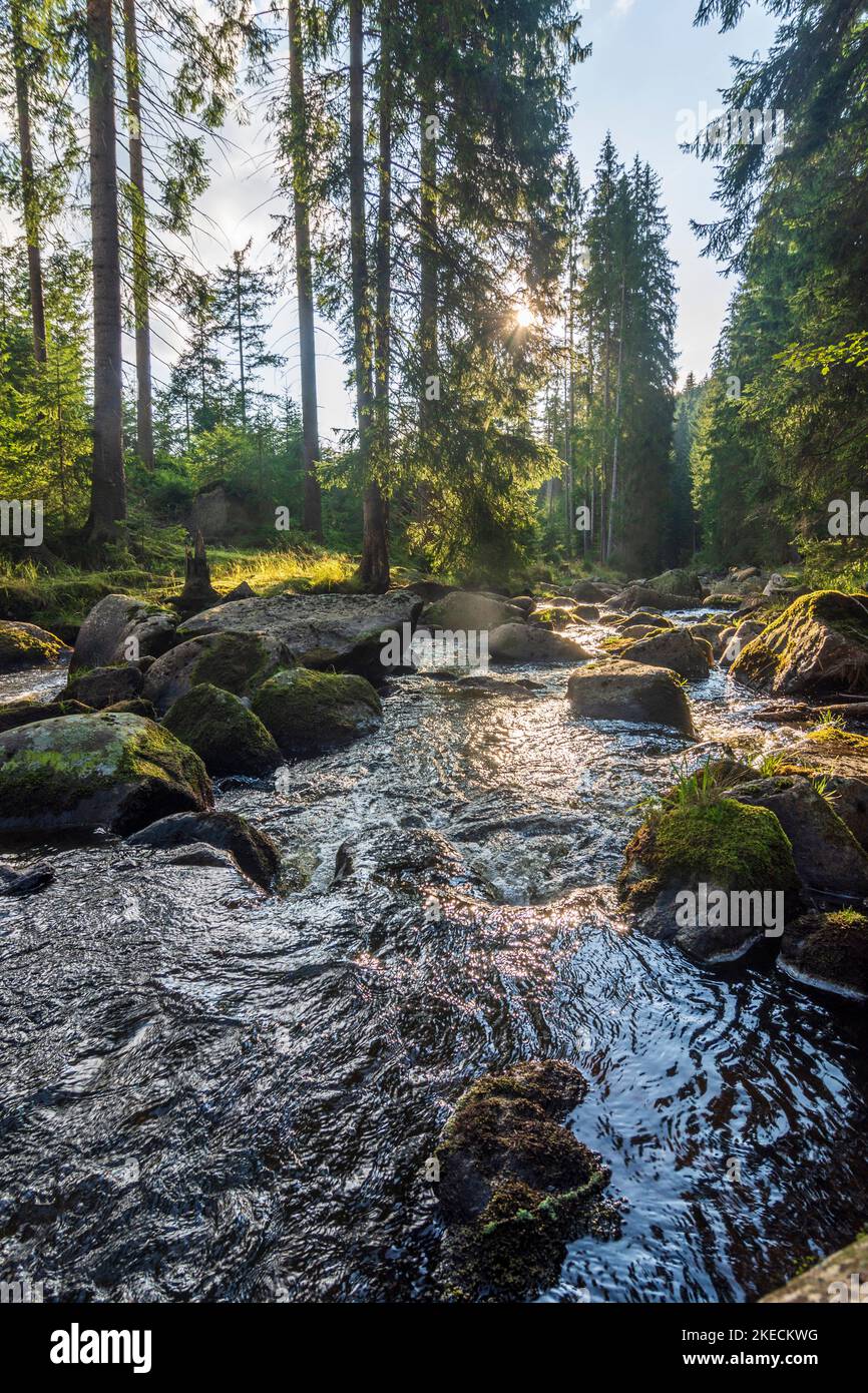 Cerna river hi-res stock photography and images - Alamy