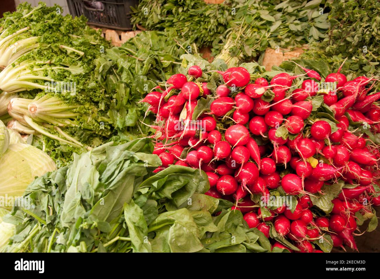 Vegetable Stall, Tripoli Souk, Tripoli, Lebanon. Huge array of fresh ...