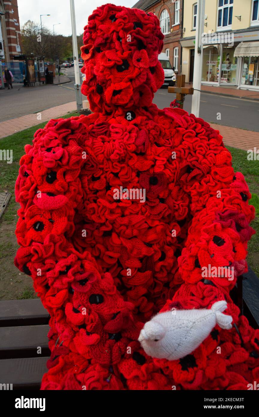 Chesham, Buckinghamshire. UK. 11 November, 2022. A striking Remembrance ...