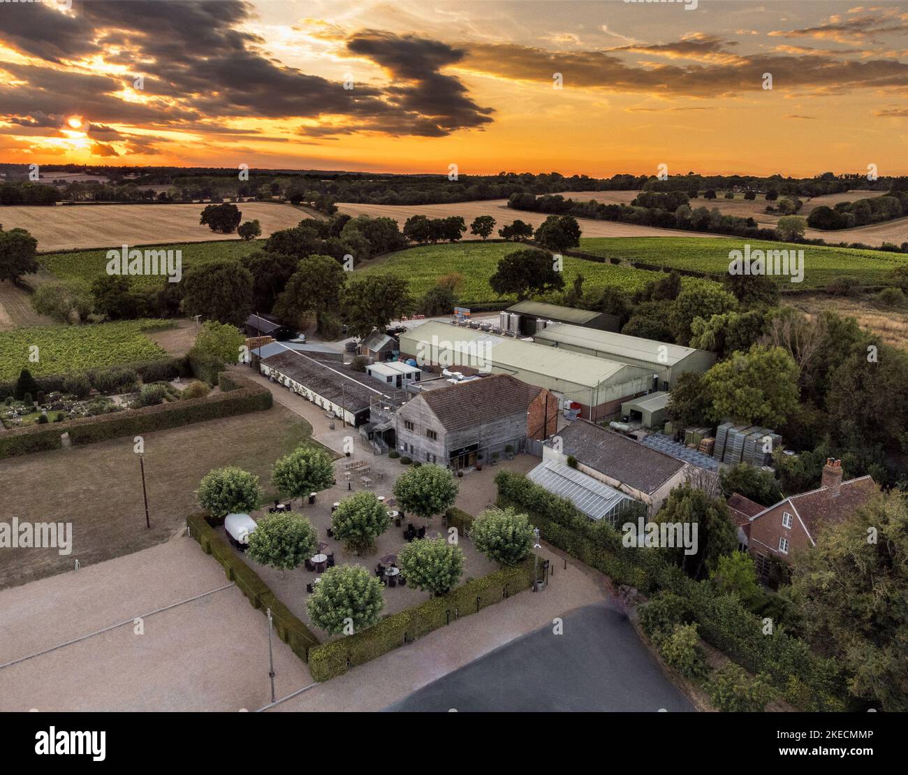 A scenic shot over Chapel Down Vineyard with the golden evening sunset ...