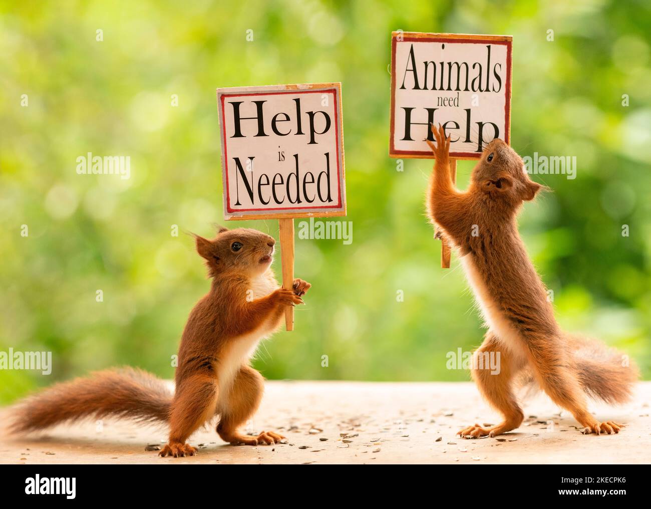 Asking for help hi-res stock photography and images - Alamy
