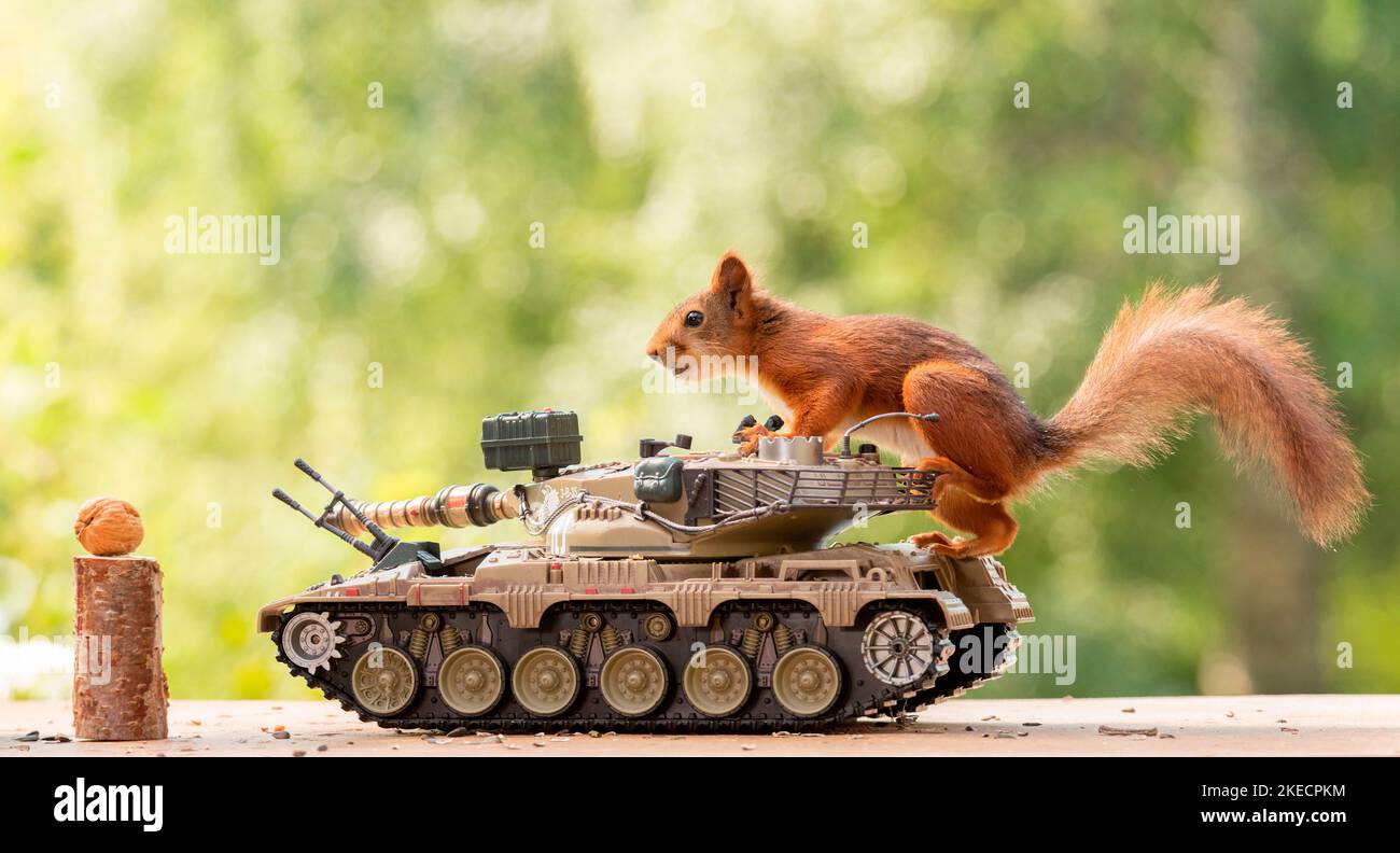 Miniature tank hi-res stock photography and images - Alamy