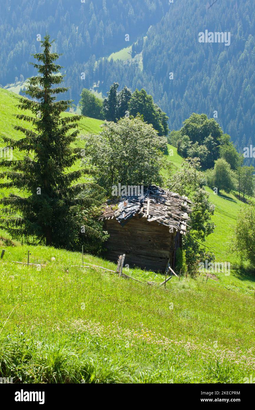 in steep mountain meadow stands a dilapidated barn in the South ...