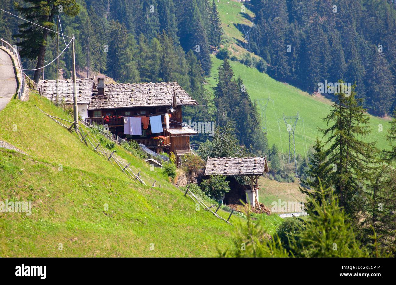 Mountain farm built on a steep slope in the South Tyrolean Ulten Valley ...