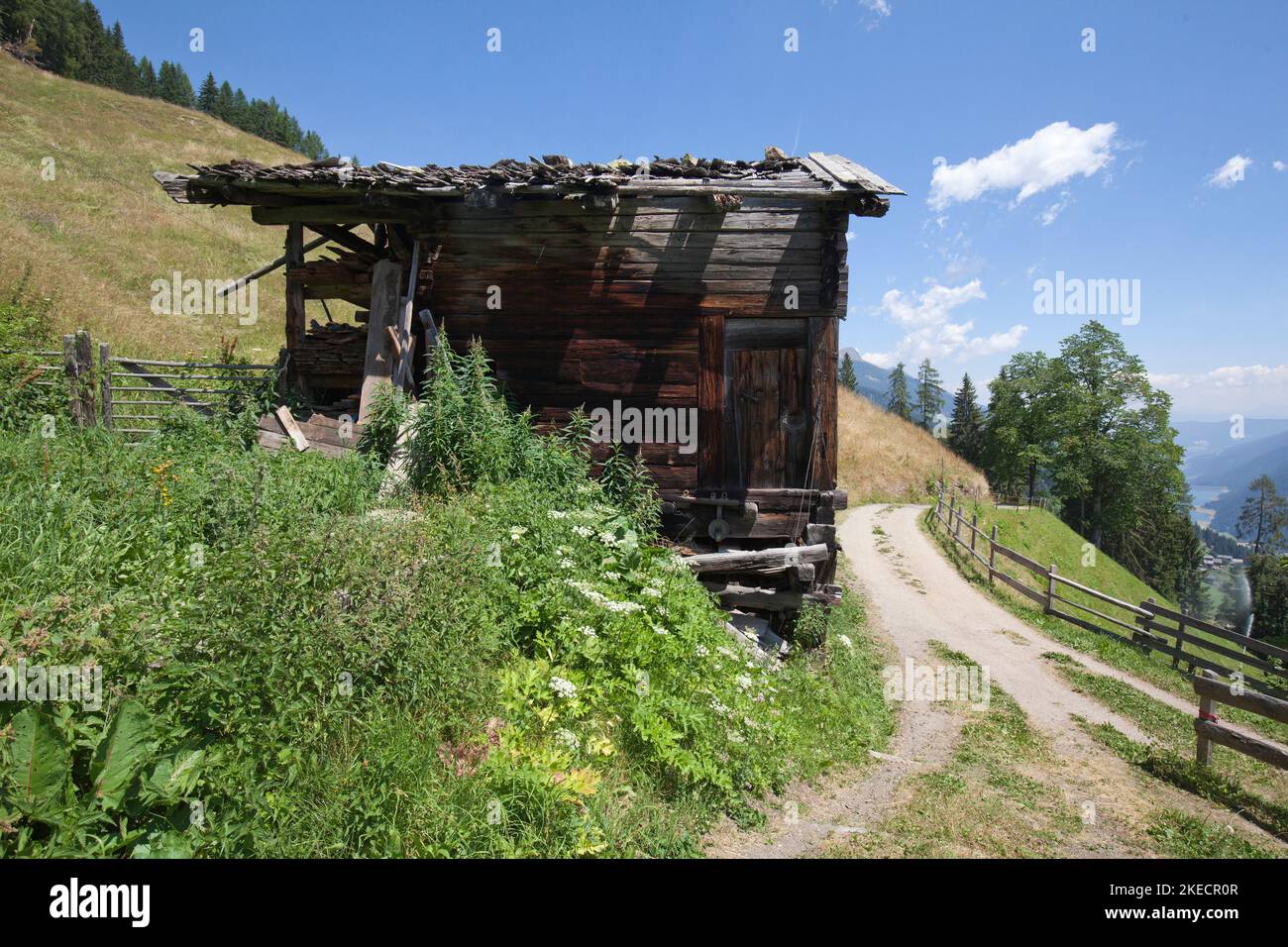 old dilapidated wooden hut stands on the gravel road in the steep slope, South Tyrolean Ulten ...