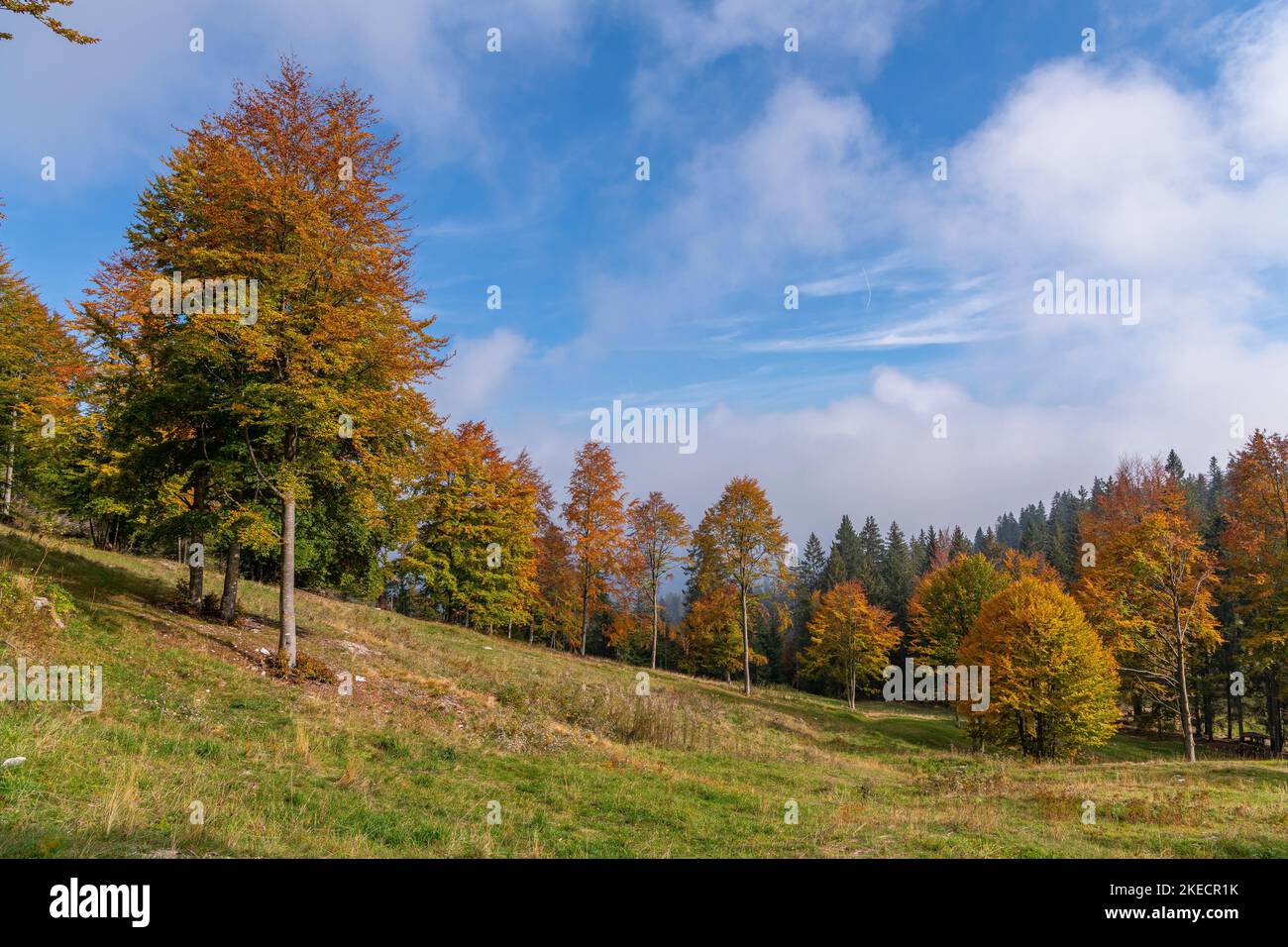Autumn in the Brenta in northern Italy Stock Photo - Alamy