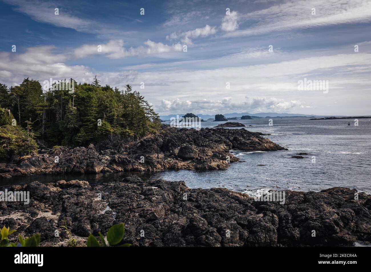 Pacific Rim Trail in Ucluelet, Canada Stock Photo - Alamy
