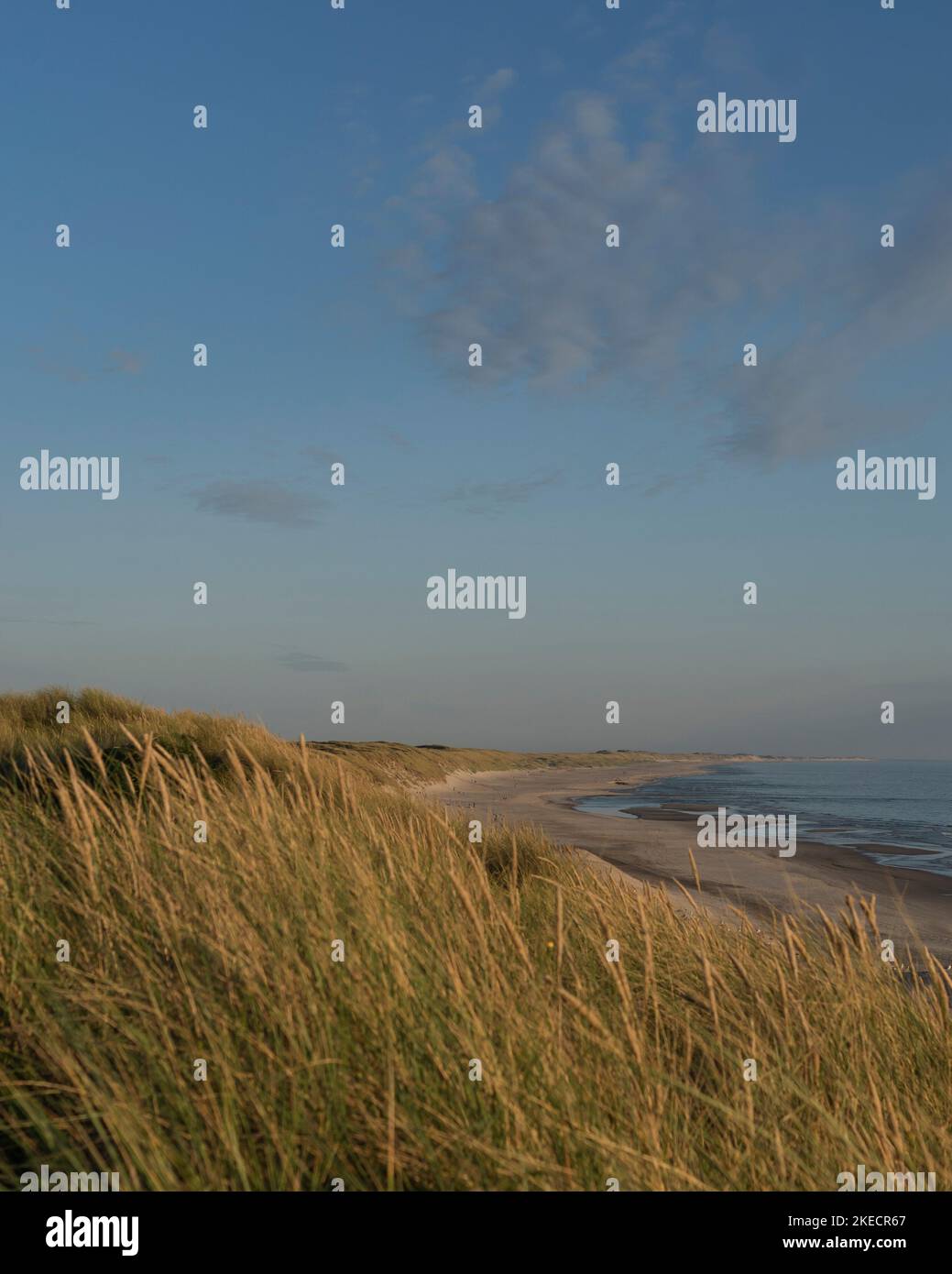 Hvide Sande, Denmark, landscape, sea, summer Stock Photo - Alamy