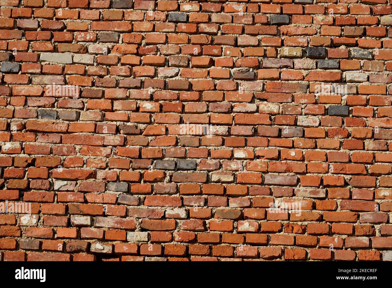 Germany, Bavaria, Upper Bavaria, Altötting district, agricultural ...