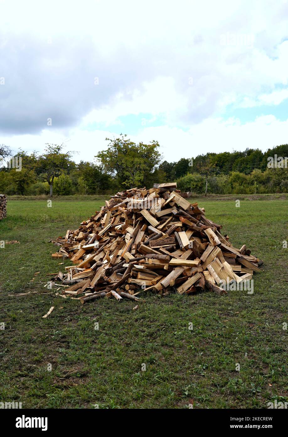 Germany, Bavaria, agriculture, meadow, pile with firewood, logs split ...