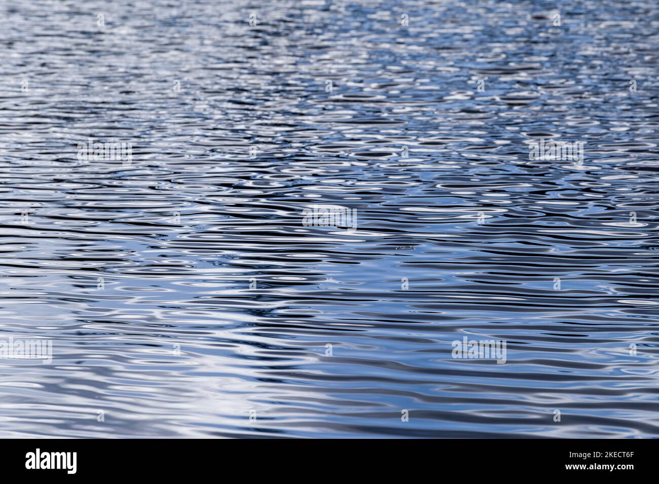 small waves and light reflections on the water surface of a lake ...