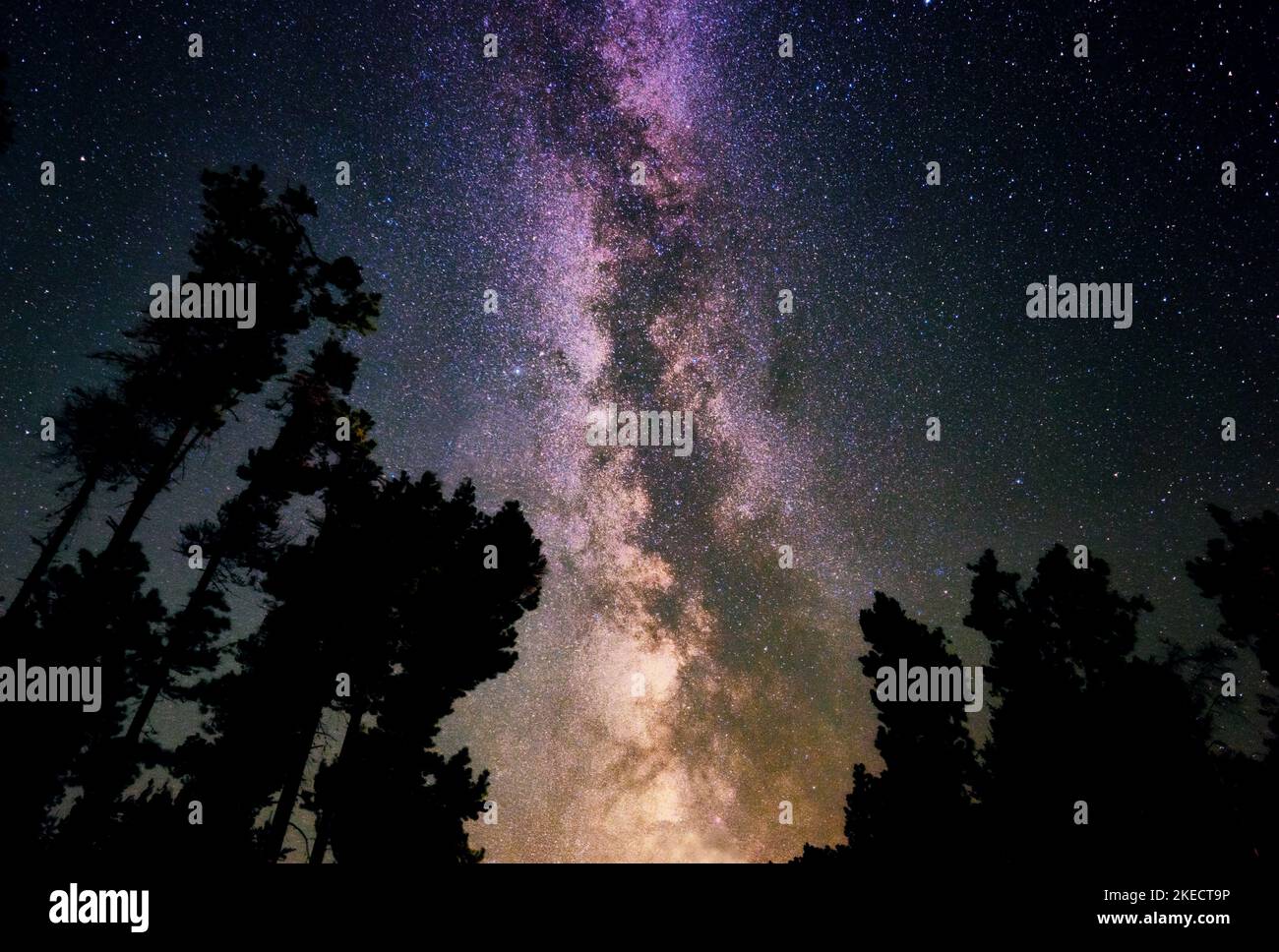 Image of the milky way over the Jasper National Park, Canada Stock ...