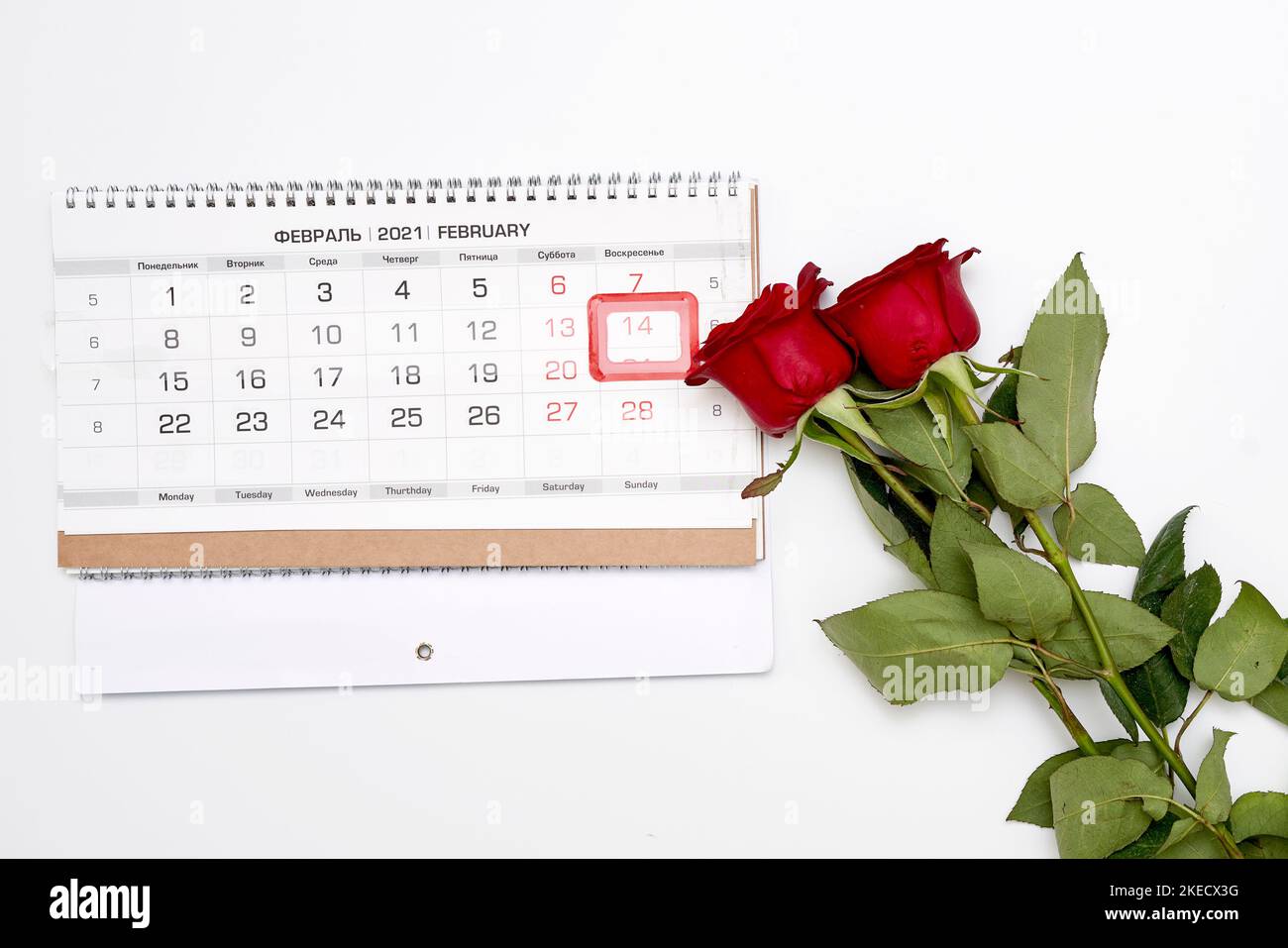 a red rose next to a calendar on a white background with the date ...