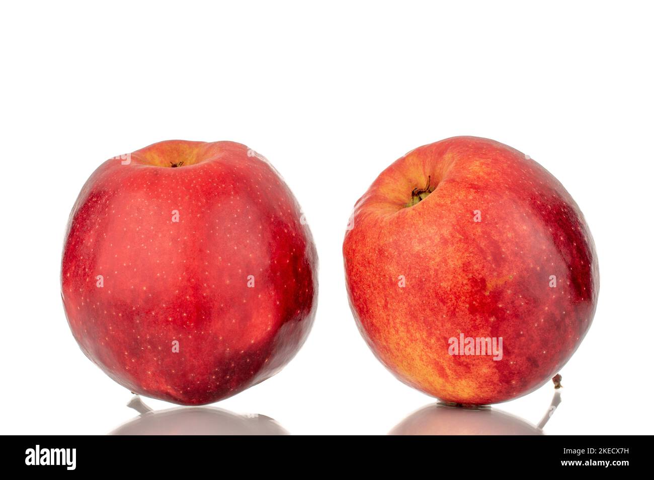 Two red ripe apples, macro, isolated on white background Stock Photo ...