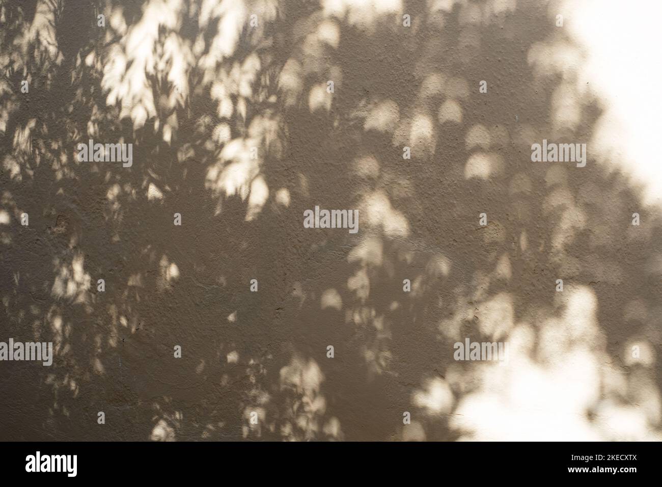 Science environment solar eclipse crescent hi-res stock photography and ...