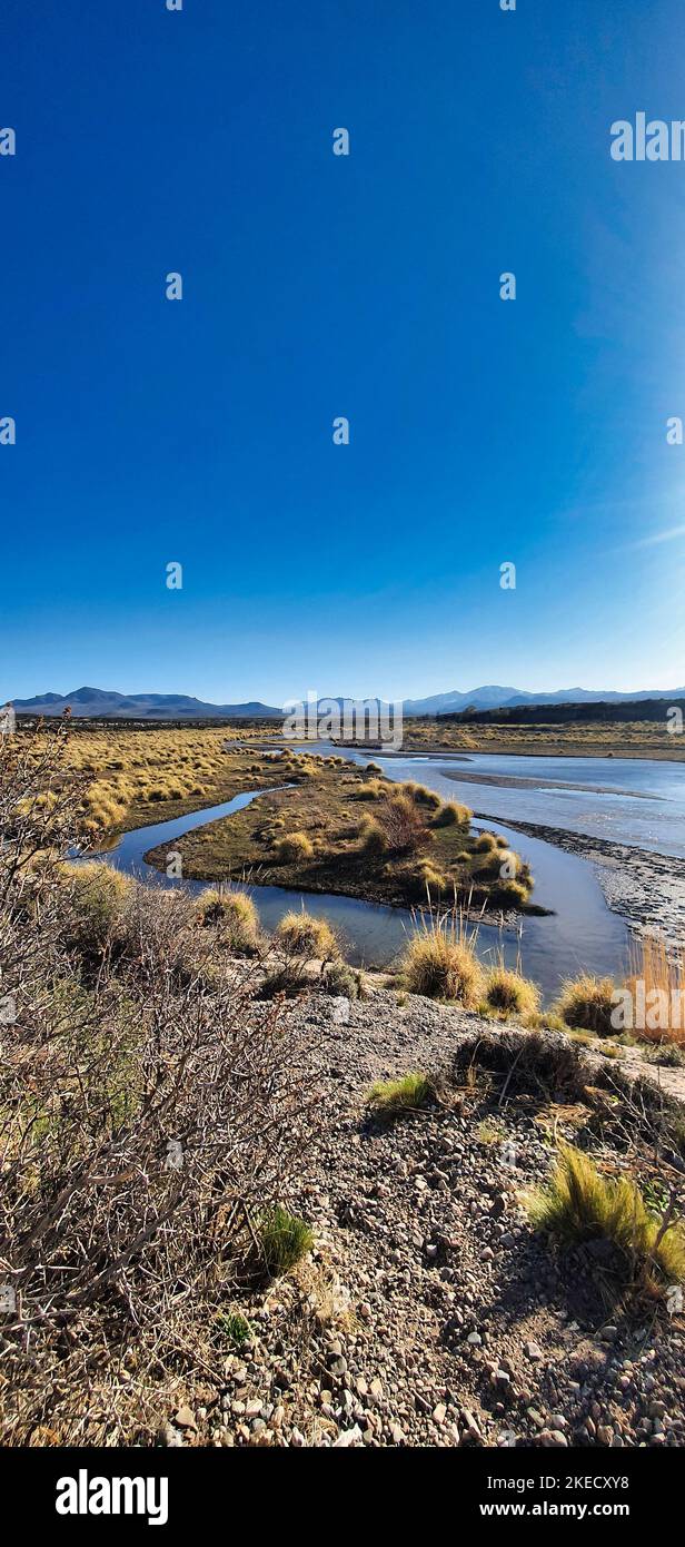 A vertical high-angle of rocky ground with lichen and yellowing grass ...