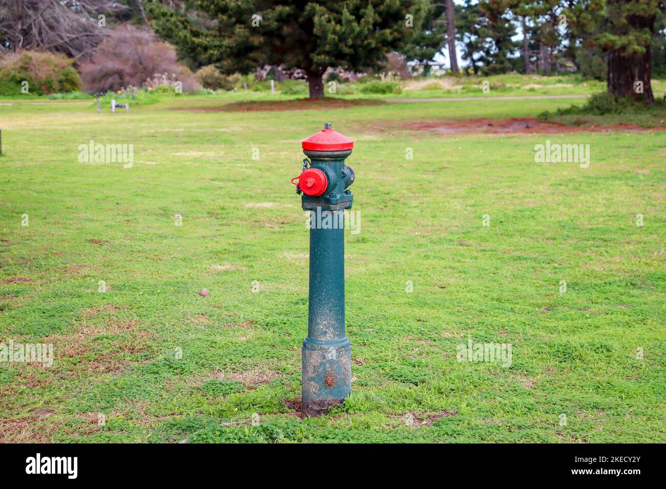 A closeup of green and red fire hydrant on the grass, trees background ...